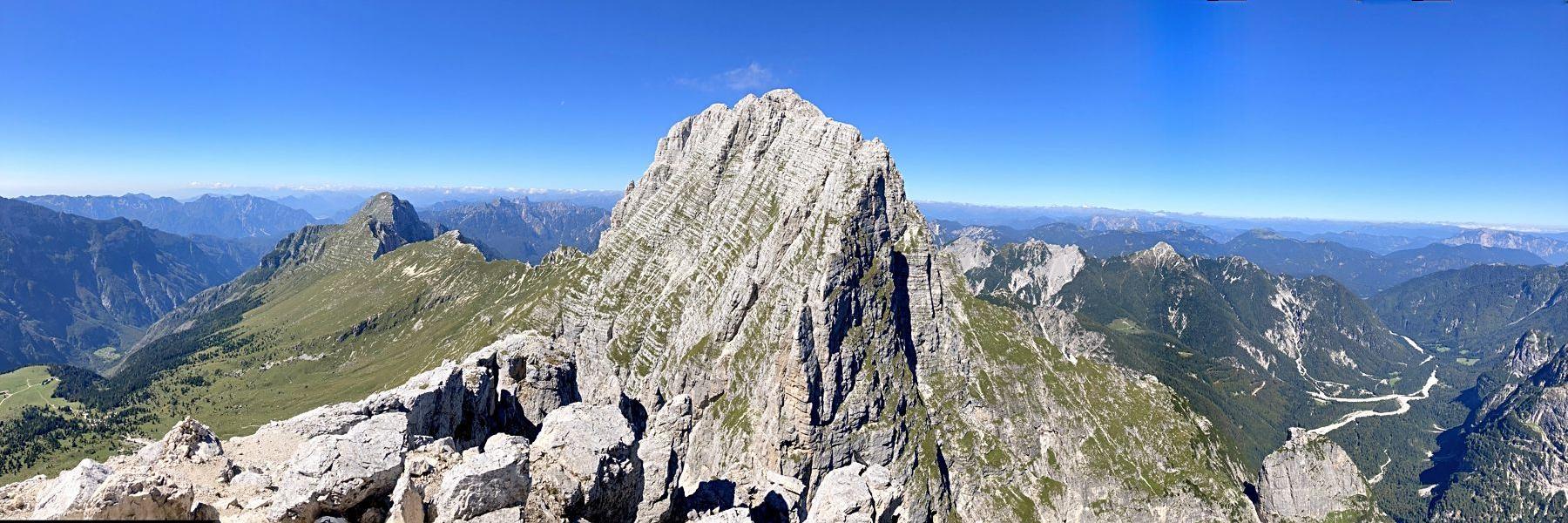 Saxifraga hostii am Cima di Terra Rossa